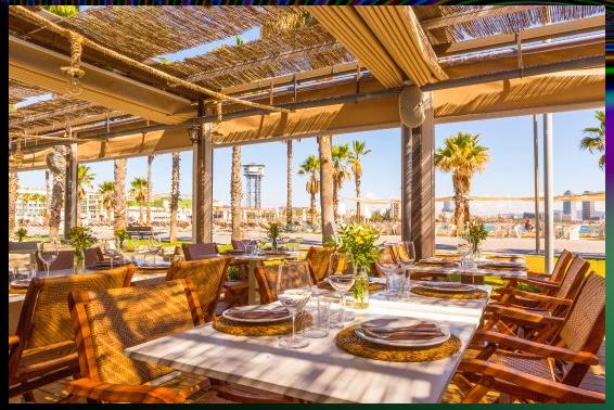 Mamarosa Beach - Pagina principal